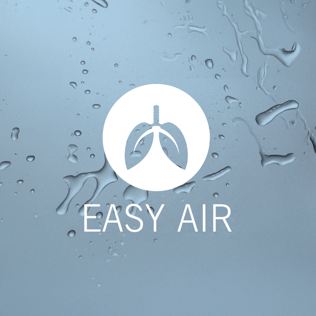 EASY AIR - Flavoured Filters – Easy Air