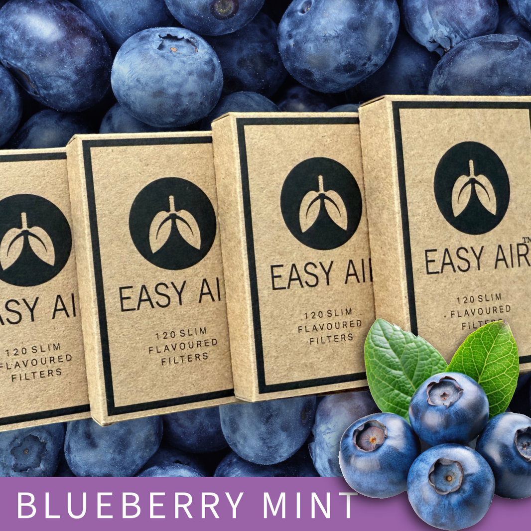EASY AIR - Flavoured Filters – Easy Air
